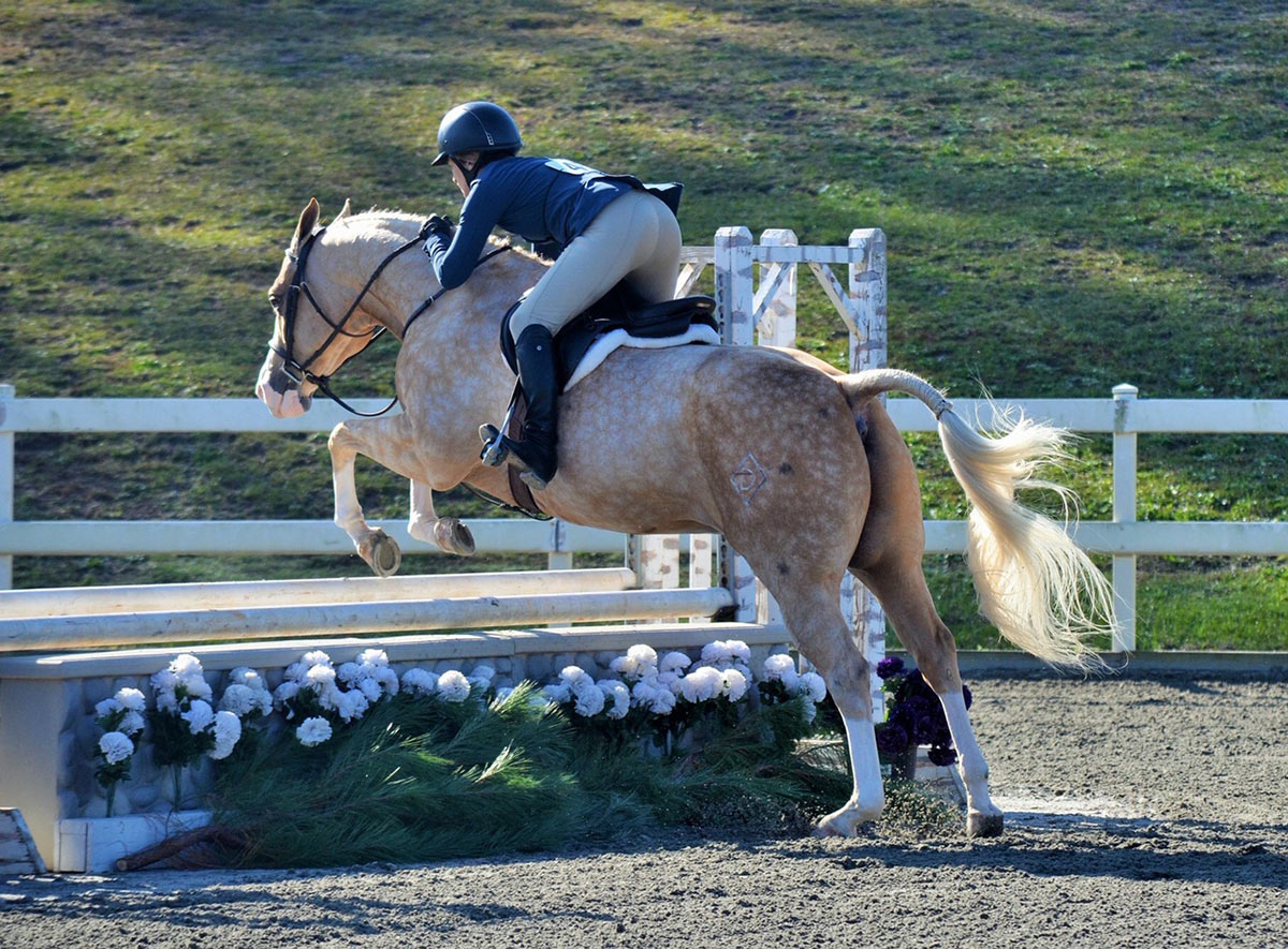 Life Lessons in the Barn: Being a Good Steward for the Voiceless - The ...