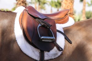 Wool vs Foam Flocking: What Does It Mean for Your Saddle? - The Plaid ...
