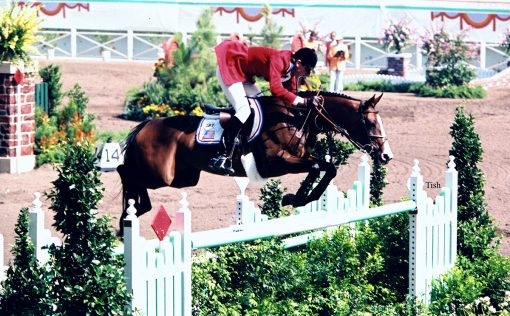 Touch of Class: Show Jumping's Great Thoroughbred Mare - The Plaid ...