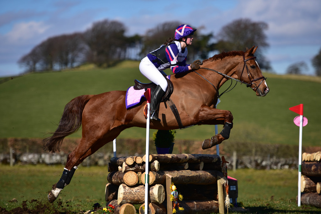 What Hunters Can Learn From Eventers - The Plaid Horse Magazine