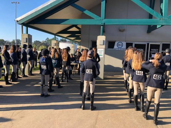 What is IEA? The Interscholastic Equestrian Association Explained - The ...