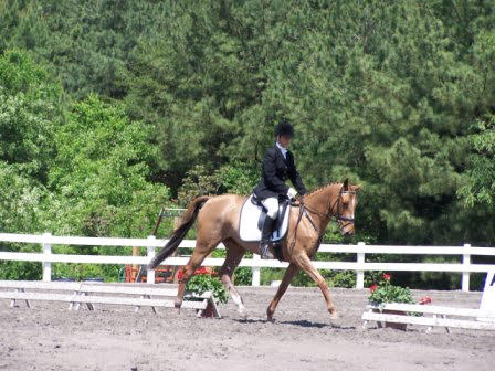 The Smallest One Was Madeline Part I: The Team That Tamed the ...