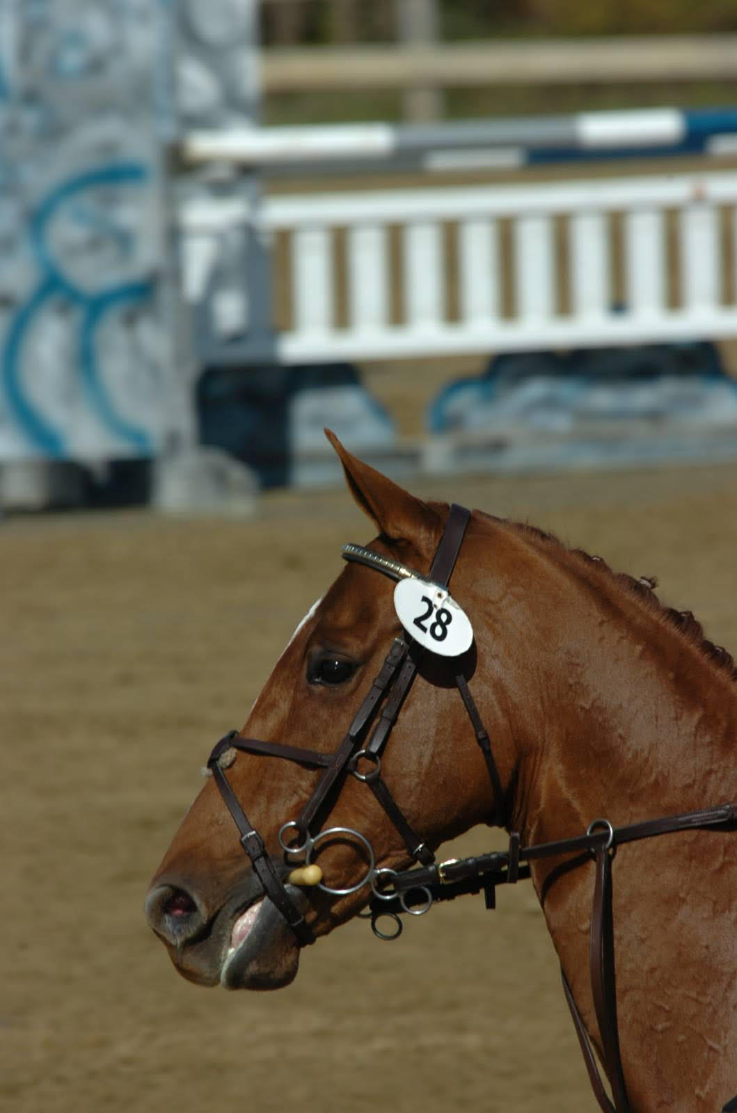 The Smallest One Was Madeline Part I: The Team That Tamed the ...