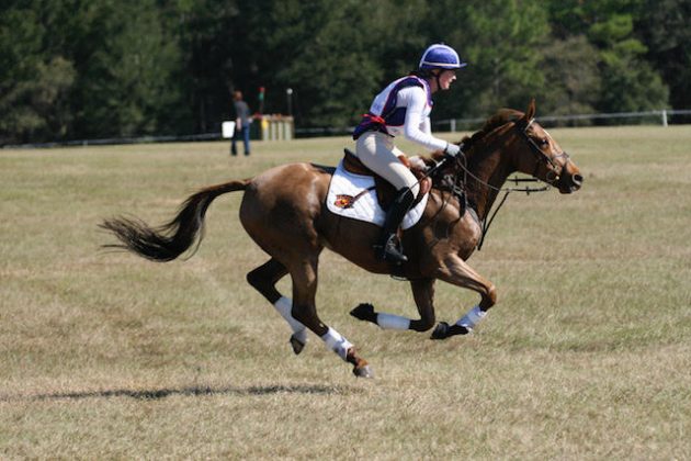 The Smallest One Was Madeline Part II: A Little Mare Rises to the Top ...