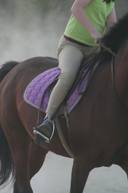 How to Teach Beginners to Post (and keep your sanity!) - The Plaid ...