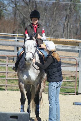 How to Teach Beginners to Post (and keep your sanity!) - The Plaid ...