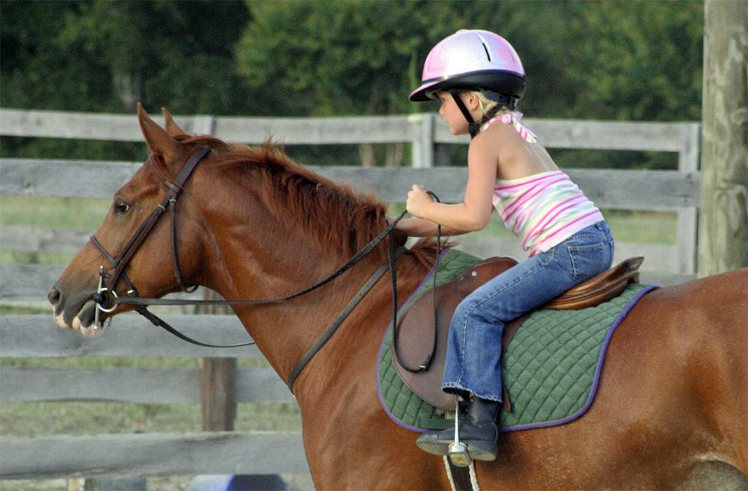 How to Teach Beginners to Post (and keep your sanity!) - The Plaid ...