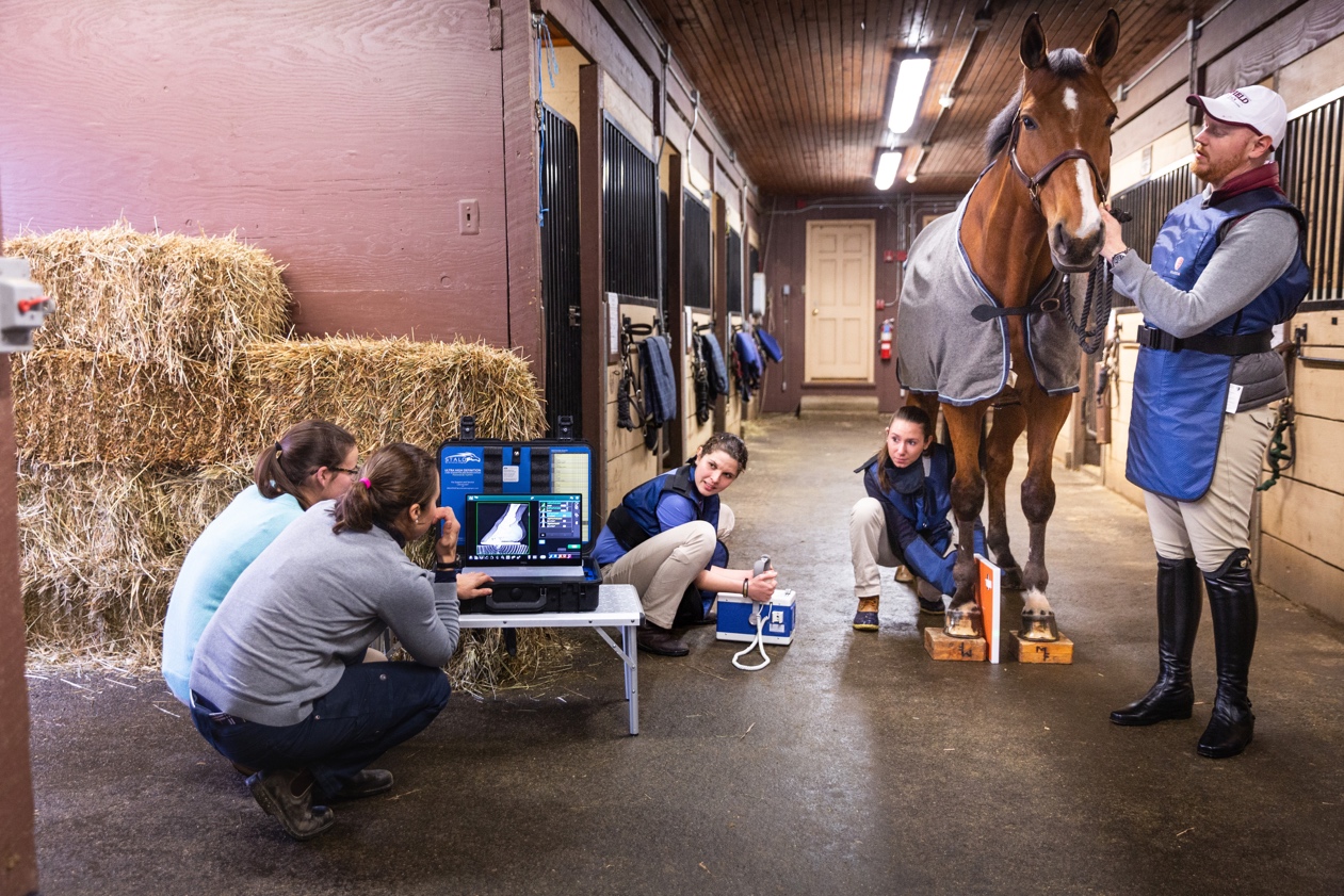 Centenary University Enhances Equine Diagnostics With New Technology ...