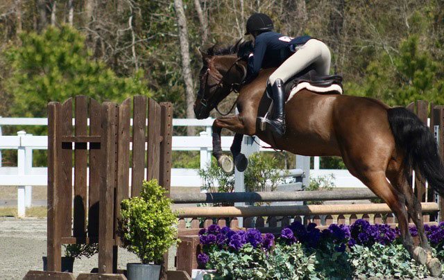 Lessons in the Learning: When Figuring Out the Pony is the Journey, Not ...