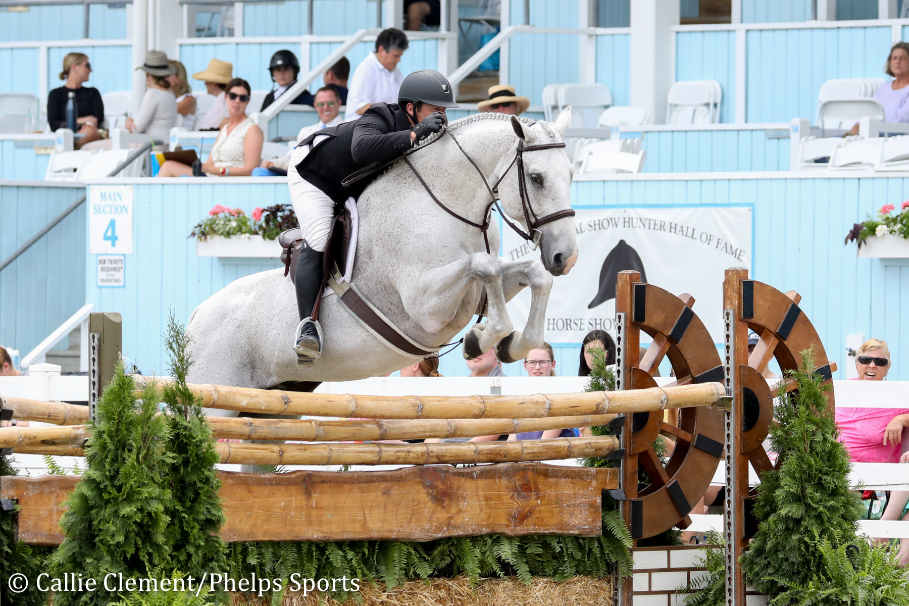 Kristen Bumpus and Diadora Dominate $25,000 USHJA International Hunter ...