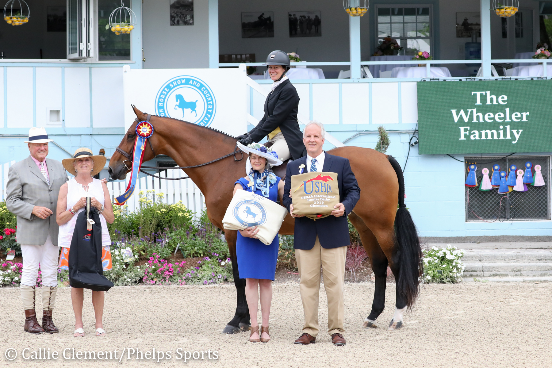 Kristen Bumpus and Diadora Dominate $25,000 USHJA International Hunter ...