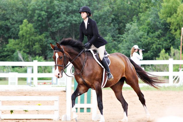 5 Surprising Things I Learned Announcing at a Horse Show - The Plaid ...
