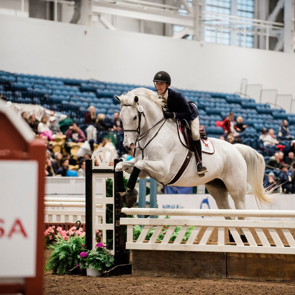 Thrills, Spills, & One Big Work-Off: Adam Edgar Is Electric in the USEF ...