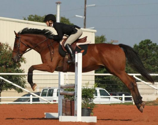 Picking the Best College Riding Program for You - The Plaid Horse Magazine