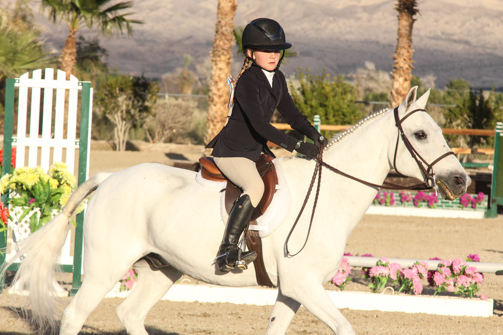 Pony Mom 101 - Equitation Basics Explained - The Plaid Horse Magazine