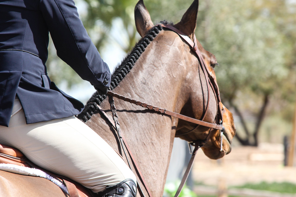 Pony Mom 101 - Equitation Basics Explained - The Plaid Horse Magazine
