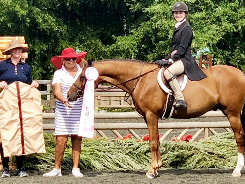 Pam Baker’s Quest for Empathy in the Hunter/Jumper Sport - The Plaid ...