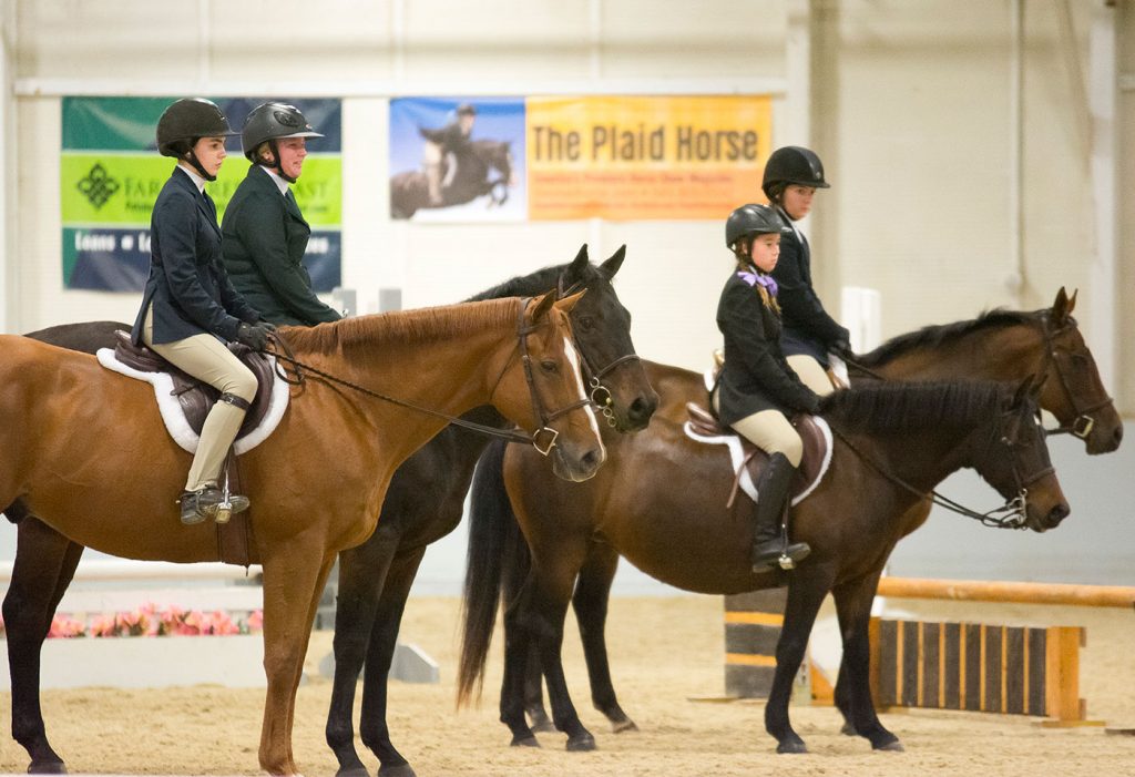 Hey Local Show Rider—You Matter - The Plaid Horse Magazine
