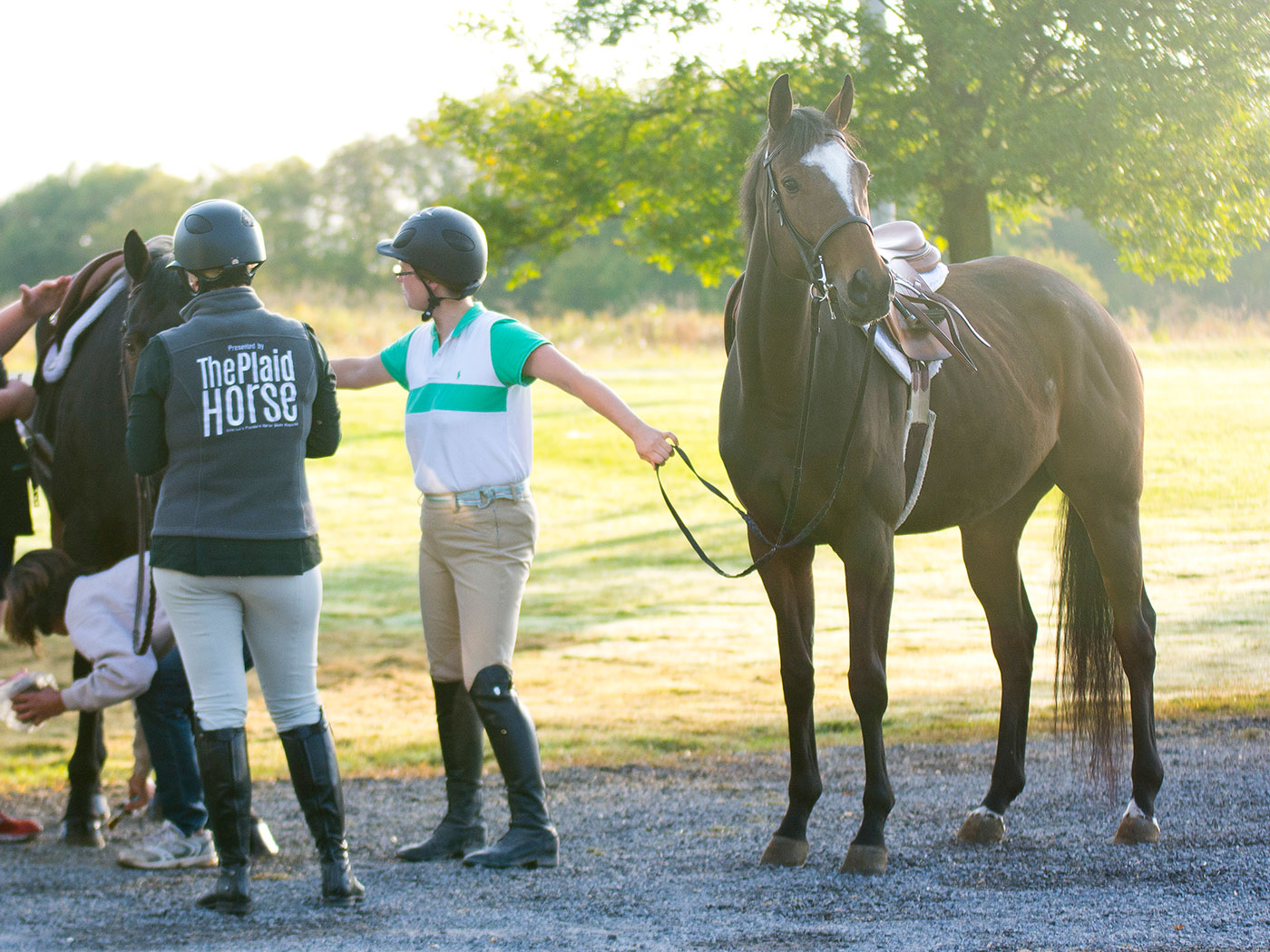 Hey Local Show Rider—You Matter - The Plaid Horse Magazine