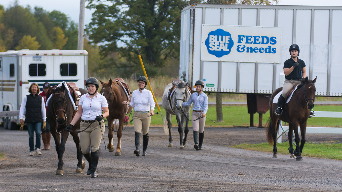 Hey Local Show Rider—You Matter - The Plaid Horse Magazine