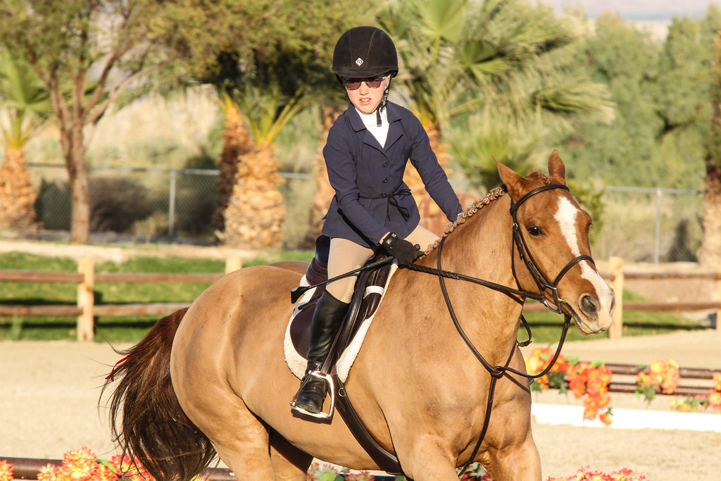 PonyMom 101: Is it Better to Lease or Buy Your First Pony? - The Plaid ...