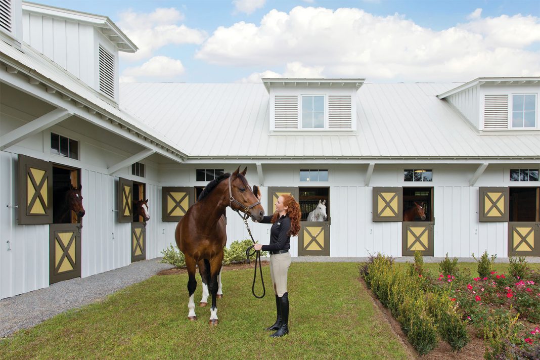 SCAD Equestrian: A Legacy of Excellence - The Plaid Horse Magazine
