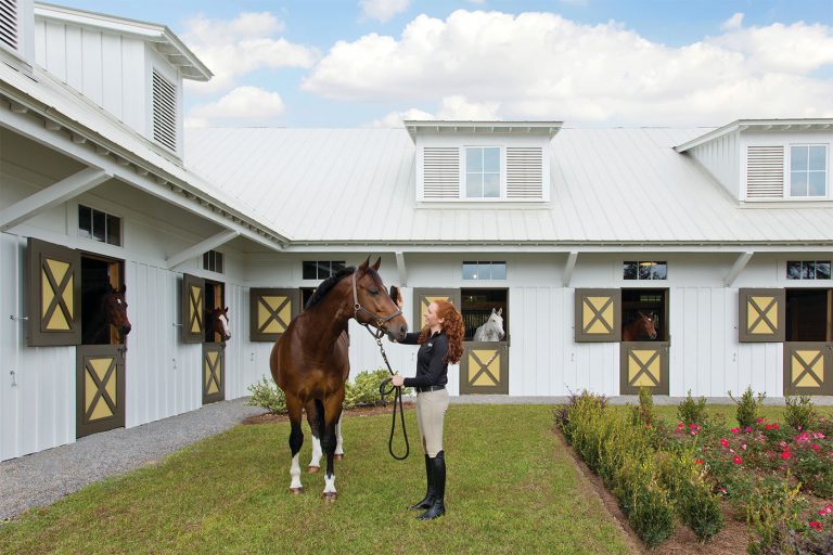 SCAD Equestrian: A Legacy of Excellence - The Plaid Horse Magazine