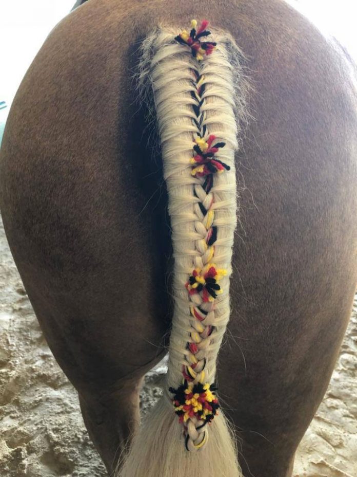 Creative Braiding Shines at Maryland Horse & Pony Show Contest - The ...
