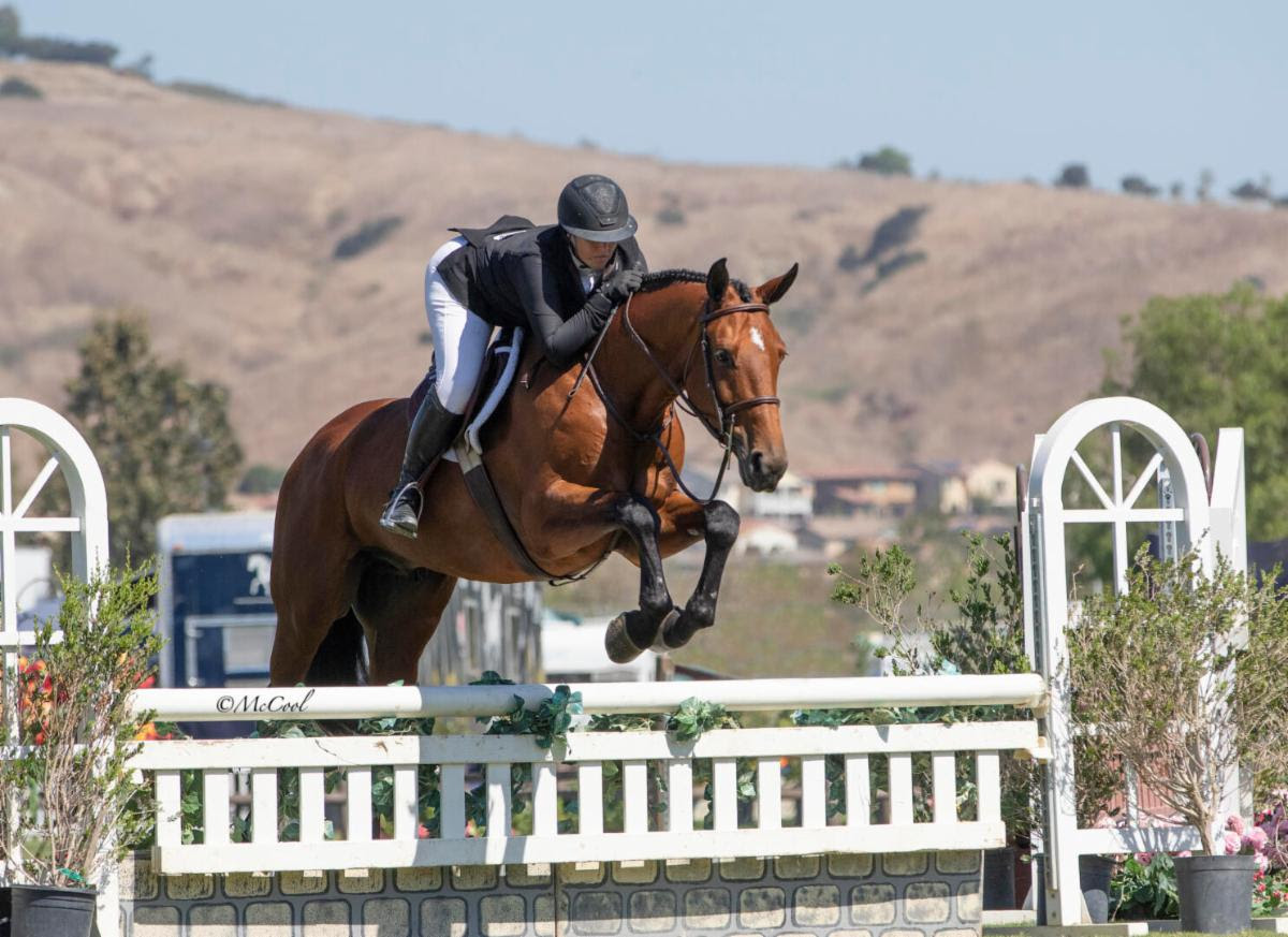 Jamie Taylor and Hero Capture the CPHA West Coast Green Hunter 3’ & 3’3 ...