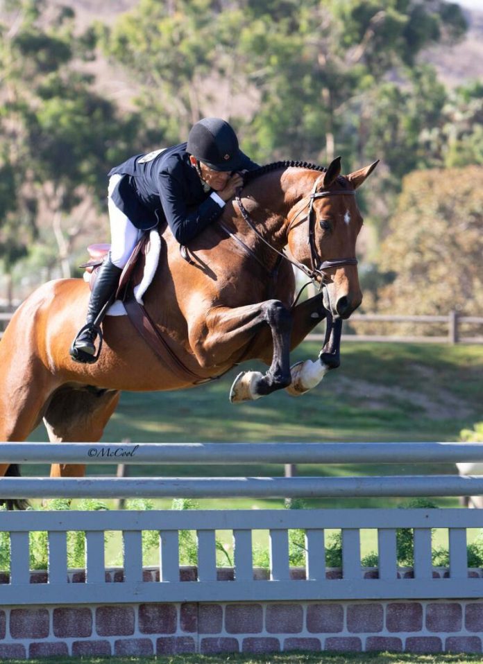 Jamie Taylor and Hero Capture the CPHA West Coast Green Hunter 3’ & 3’3 ...
