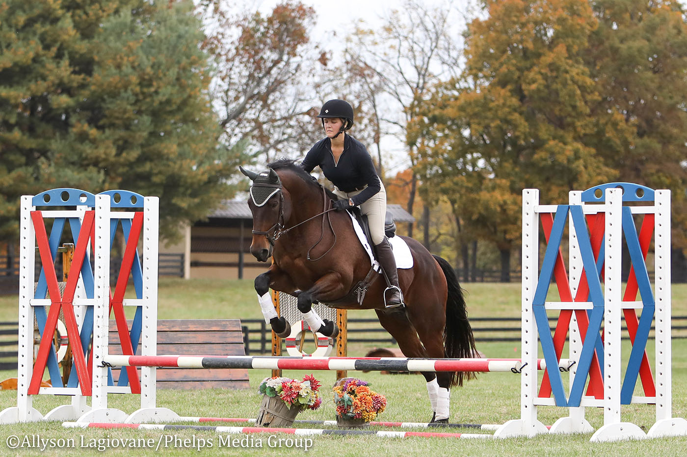 Two-Time Olympic Gold Medalist Phillip Dutton Hones in On Trust and ...