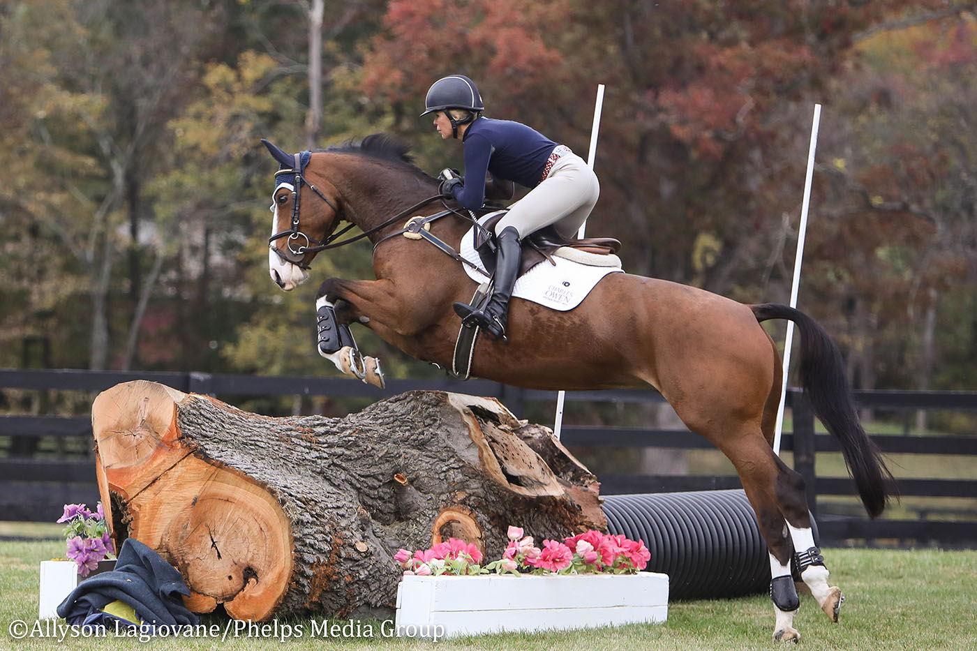 Two-Time Olympic Gold Medalist Phillip Dutton Hones in On Trust and ...