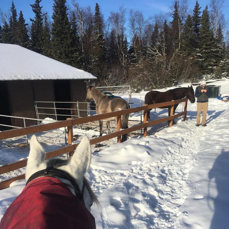 Cold Weather Riding Tips for Snow and Beyond - The Plaid Horse Magazine