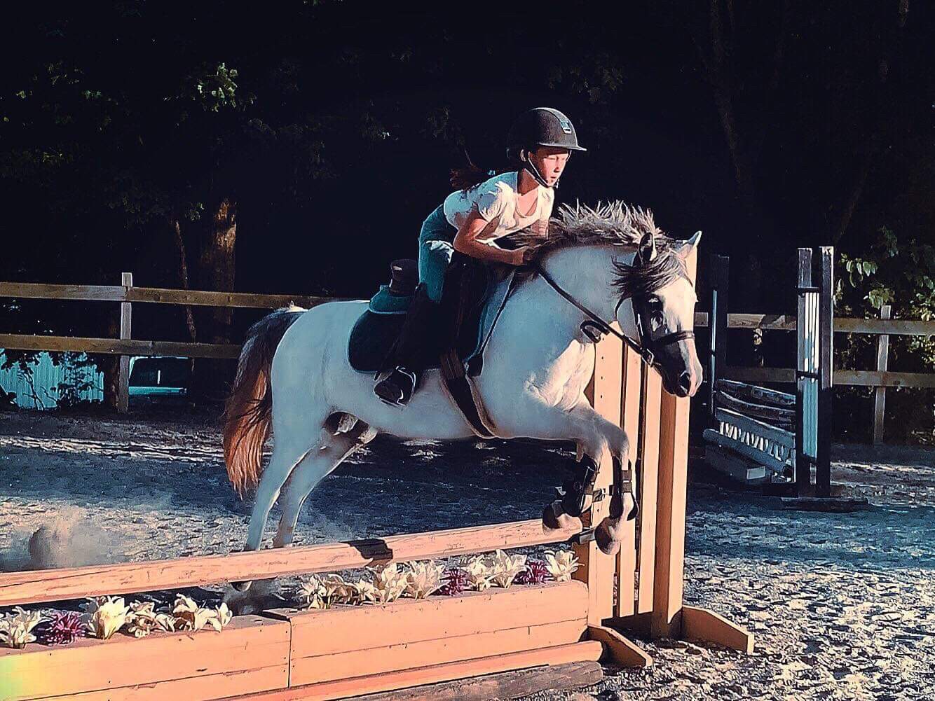 Green Ponies, Shaken Confidence & Inspiring Riders - The Plaid Horse ...