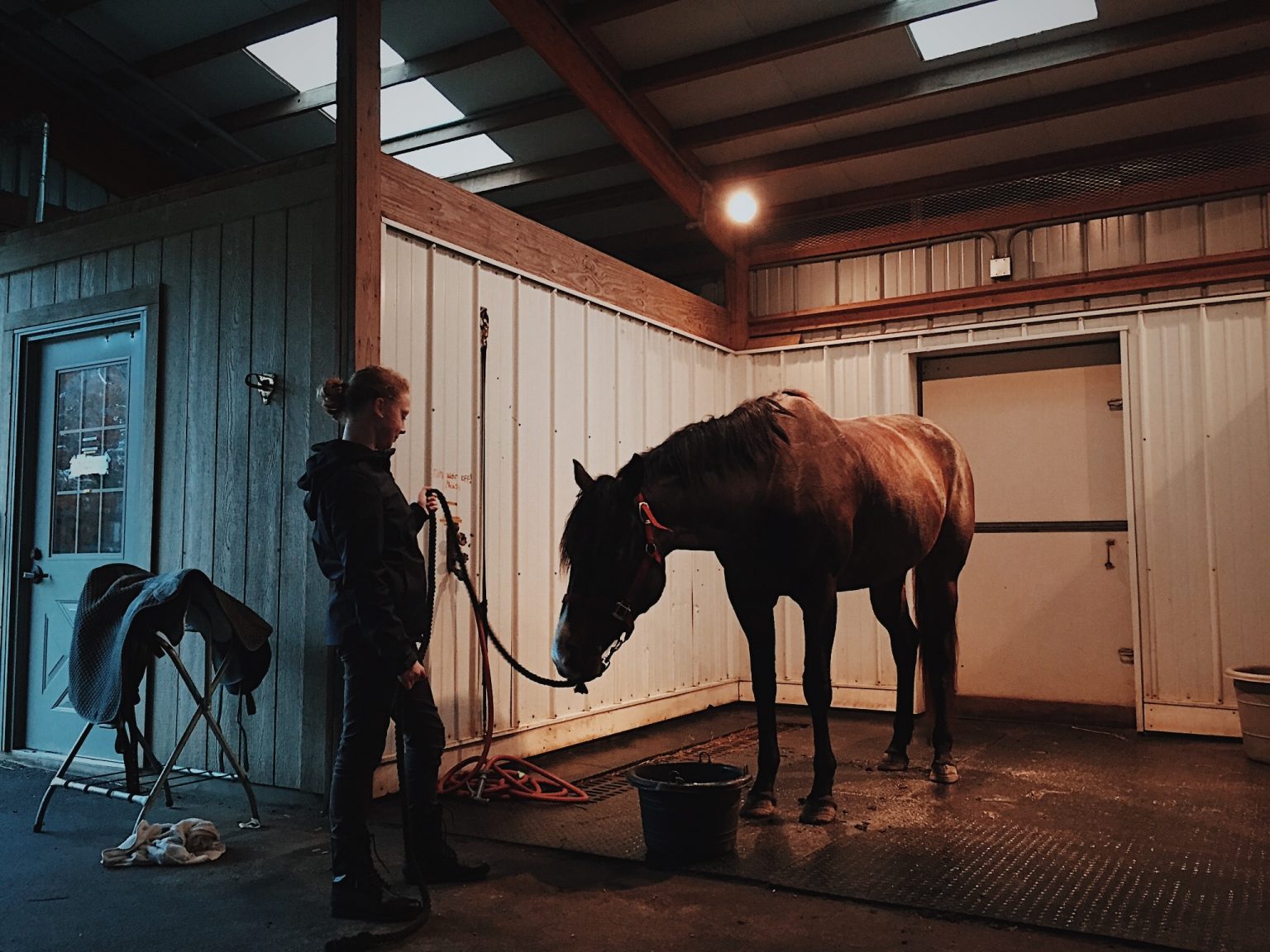 A Culture of Safety: Why It’s Important In Your Barn - The Plaid Horse ...