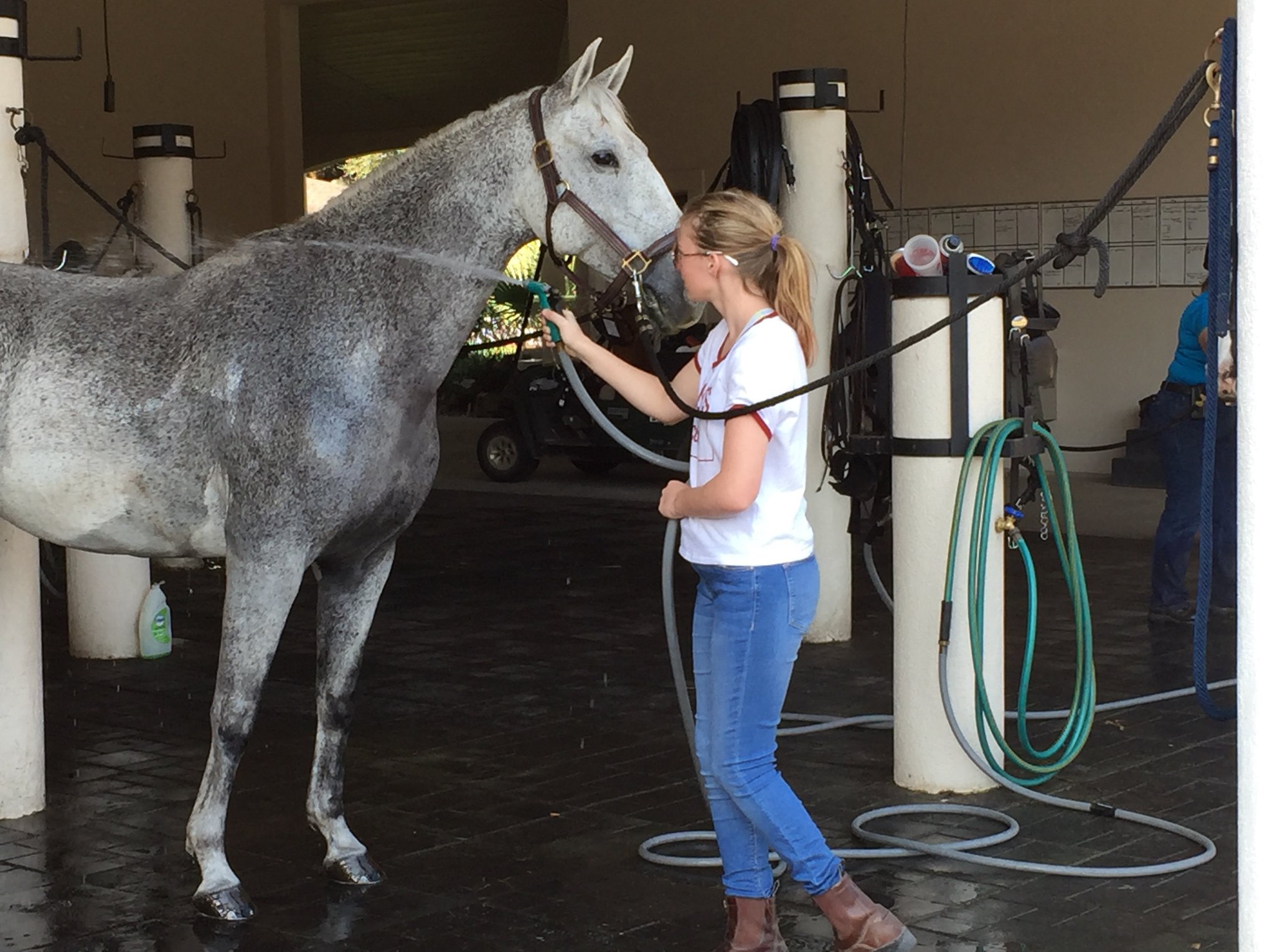Neither Hemiplegia Nor Seizures Can Stop This Young Rider - The Plaid ...