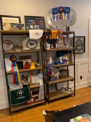 Real Ribbon Displays to Get Inspiration for Showcasing Ribbons in Your ...