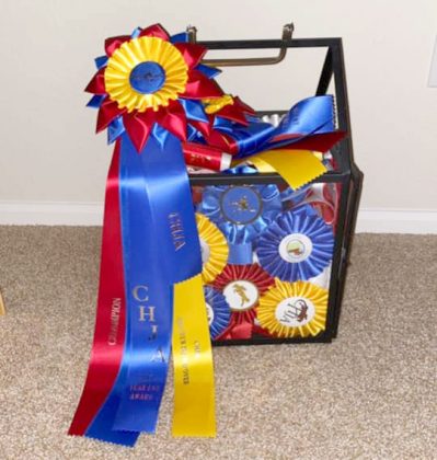 Real Ribbon Displays to Get Inspiration for Showcasing Ribbons in Your ...