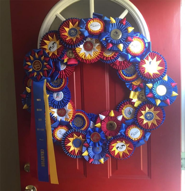 Real Ribbon Displays to Get Inspiration for Showcasing Ribbons in Your ...