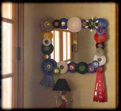 Real Ribbon Displays to Get Inspiration for Showcasing Ribbons in Your ...
