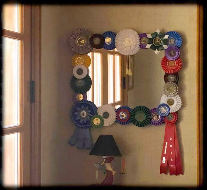 Real Ribbon Displays to Get Inspiration for Showcasing Ribbons in Your ...