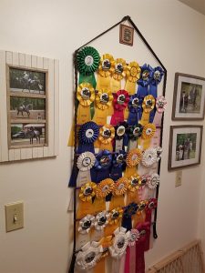 Real Ribbon Displays to Get Inspiration for Showcasing Ribbons in Your ...