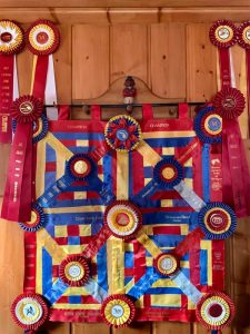 Real Ribbon Displays to Get Inspiration for Showcasing Ribbons in Your ...