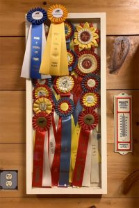 Real Ribbon Displays to Get Inspiration for Showcasing Ribbons in Your ...