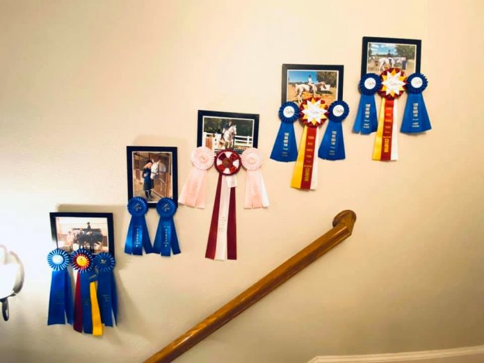 Real Ribbon Displays to Get Inspiration for Showcasing Ribbons in Your ...
