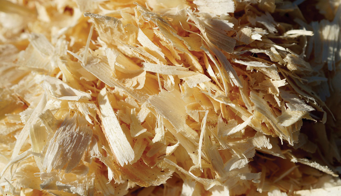 The Science of Shavings - The Plaid Horse Magazine
