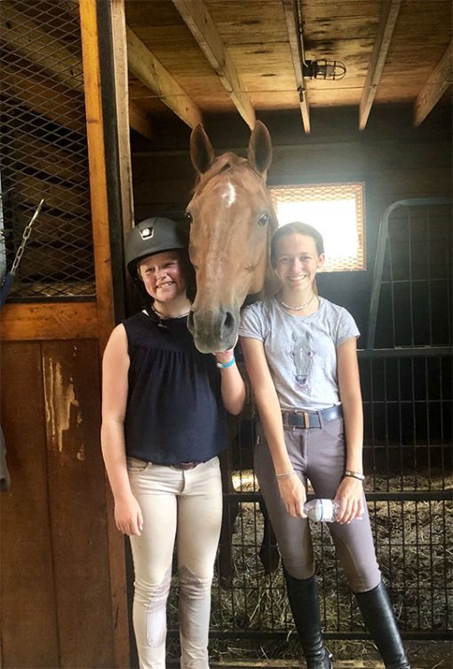 Where Have All the Barn Rats Gone? - The Plaid Horse Magazine