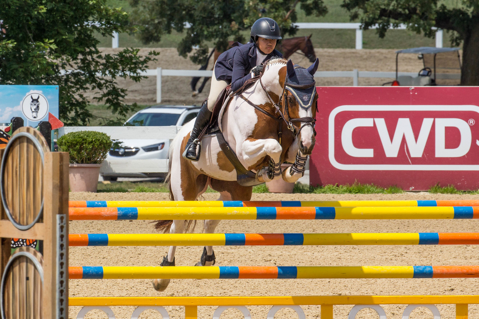 Mimi Gochman Named Show Jumping Hall of Fame Rider of the Month for ...