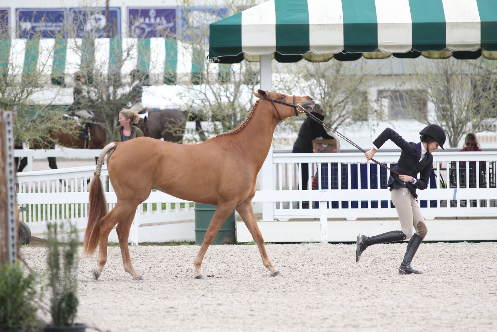 Why It’s Never the Pony’s Fault - The Plaid Horse Magazine