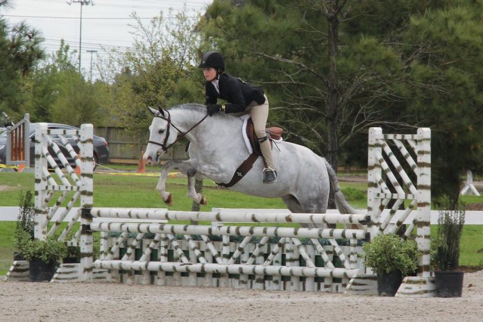 Why It’s Never the Pony’s Fault - The Plaid Horse Magazine